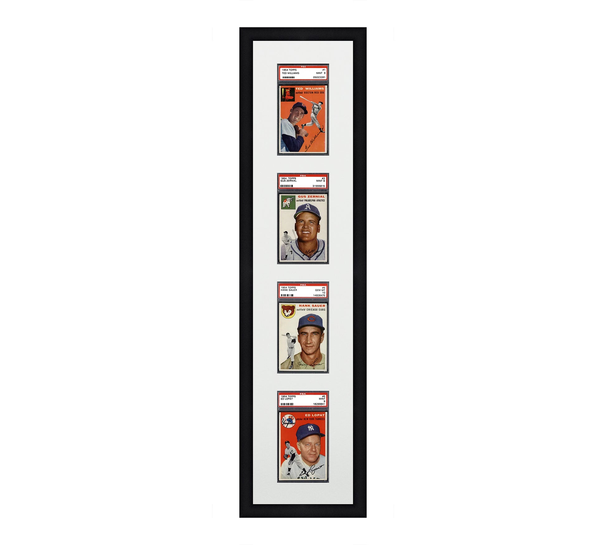 Card Frame Display - 4 Openings for PSA Graded Slabs – Card Frame Shop