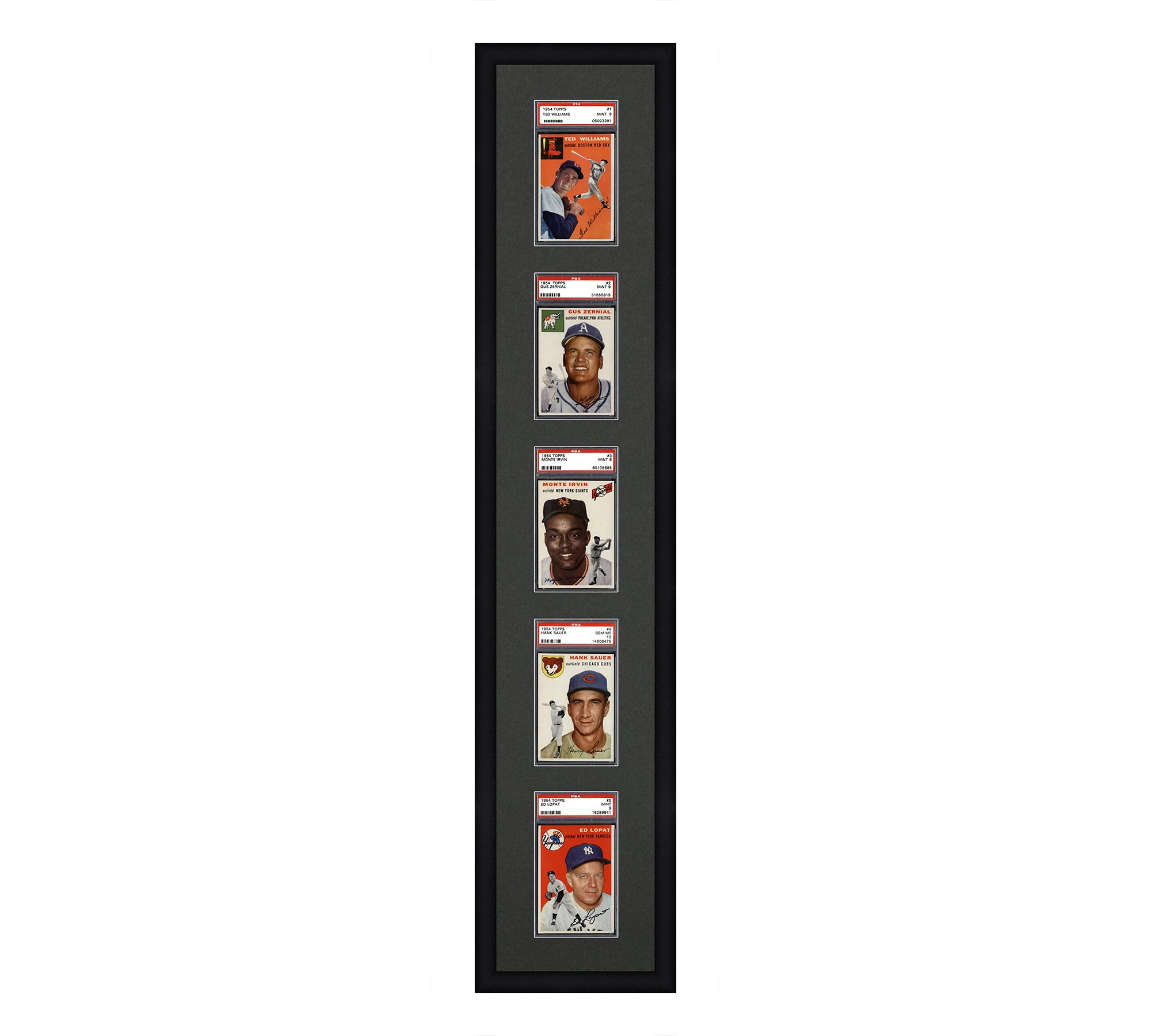 Card Frame Display - 5 Openings for PSA Graded Slabs – Card Frame Shop