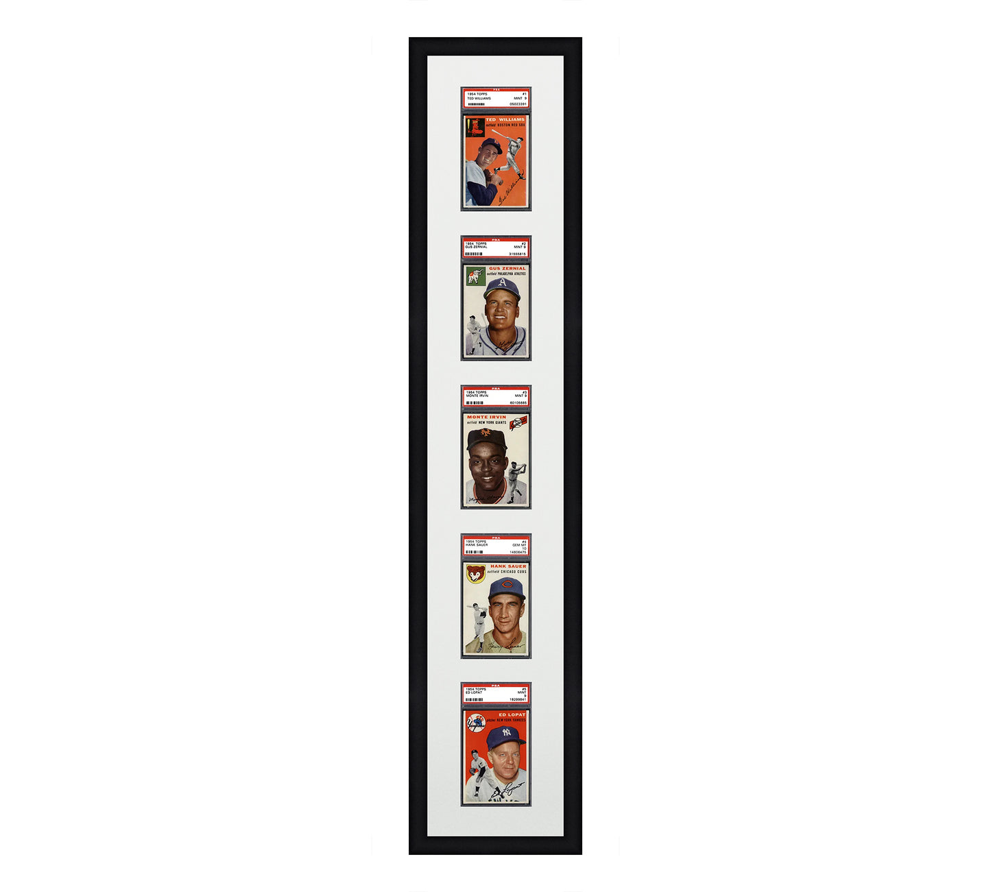 Card Frame Display - 5 Openings for PSA Graded Slabs – Card Frame Shop