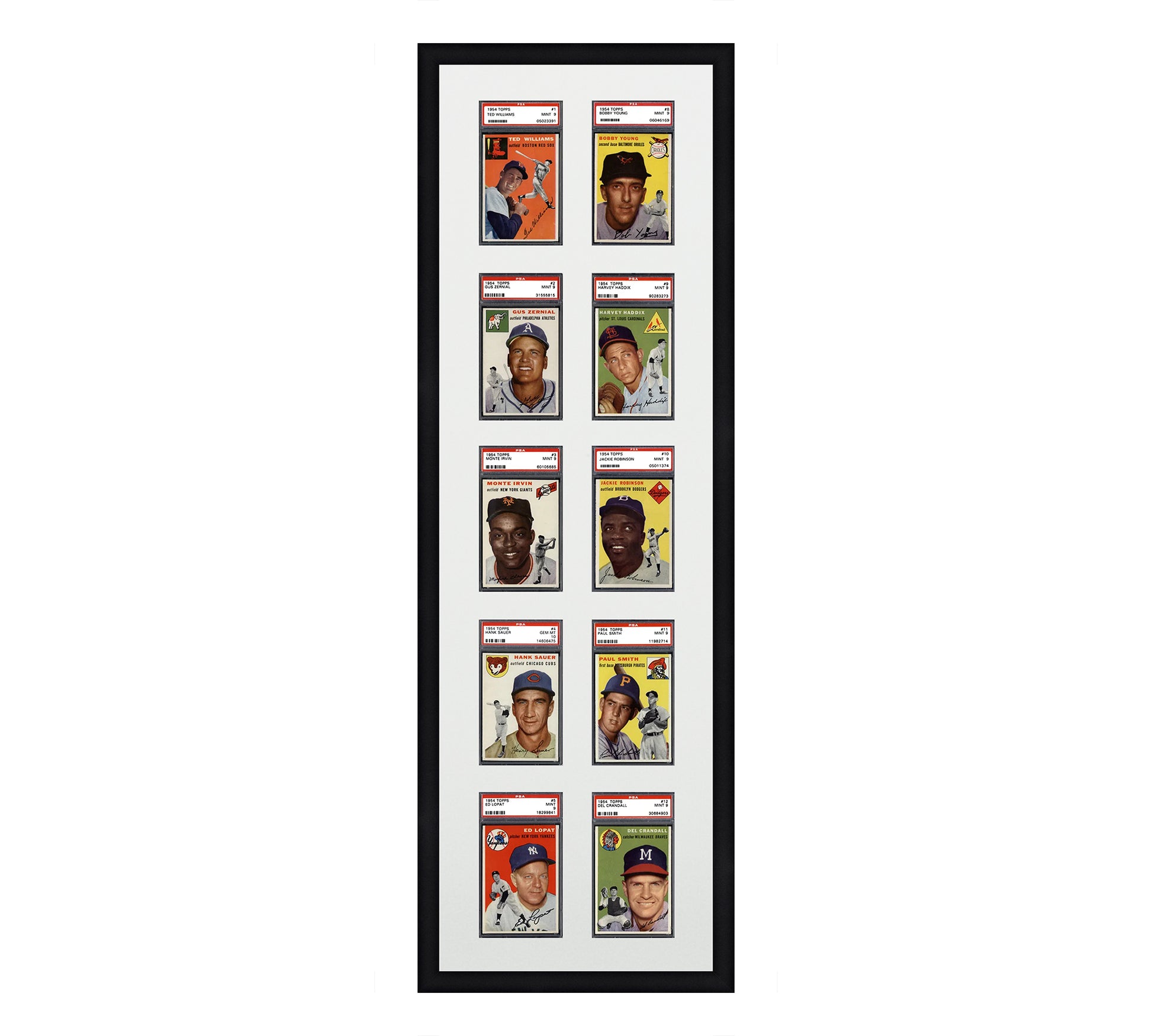 Card Frame Display - 10 Openings for PSA Graded Slabs – Card Frame Shop