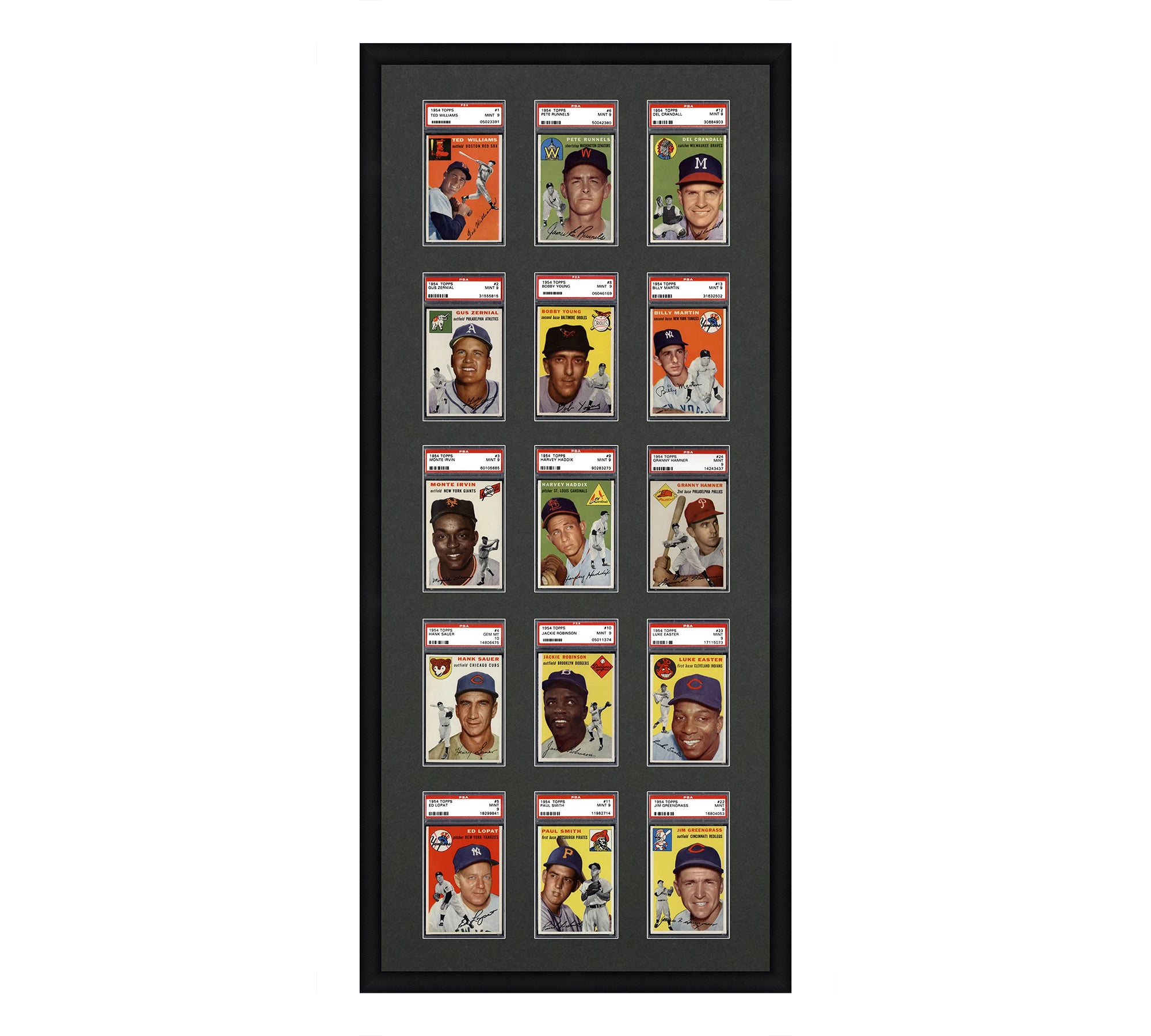 Card Frame Display - 15 Openings for PSA Graded Slabs – Card Frame Shop