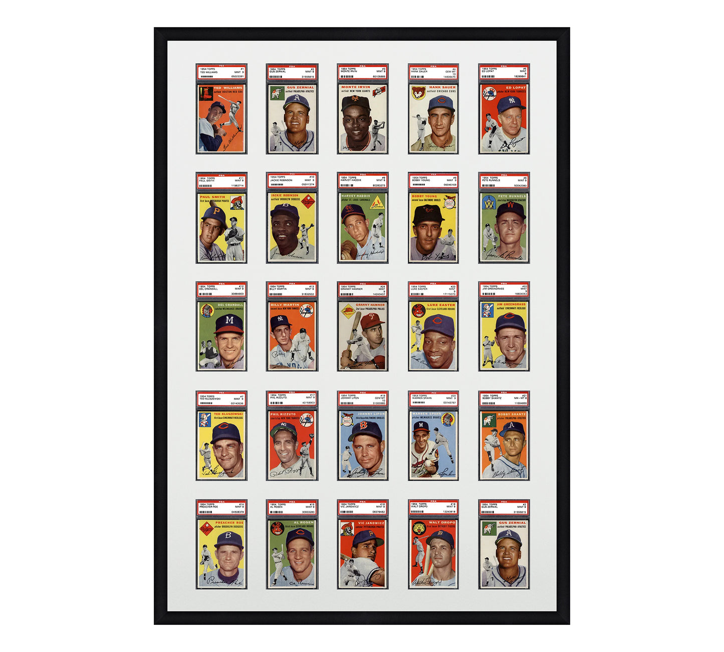 Card Frame Display - 25 Openings for PSA Graded Slabs – Card Frame Shop