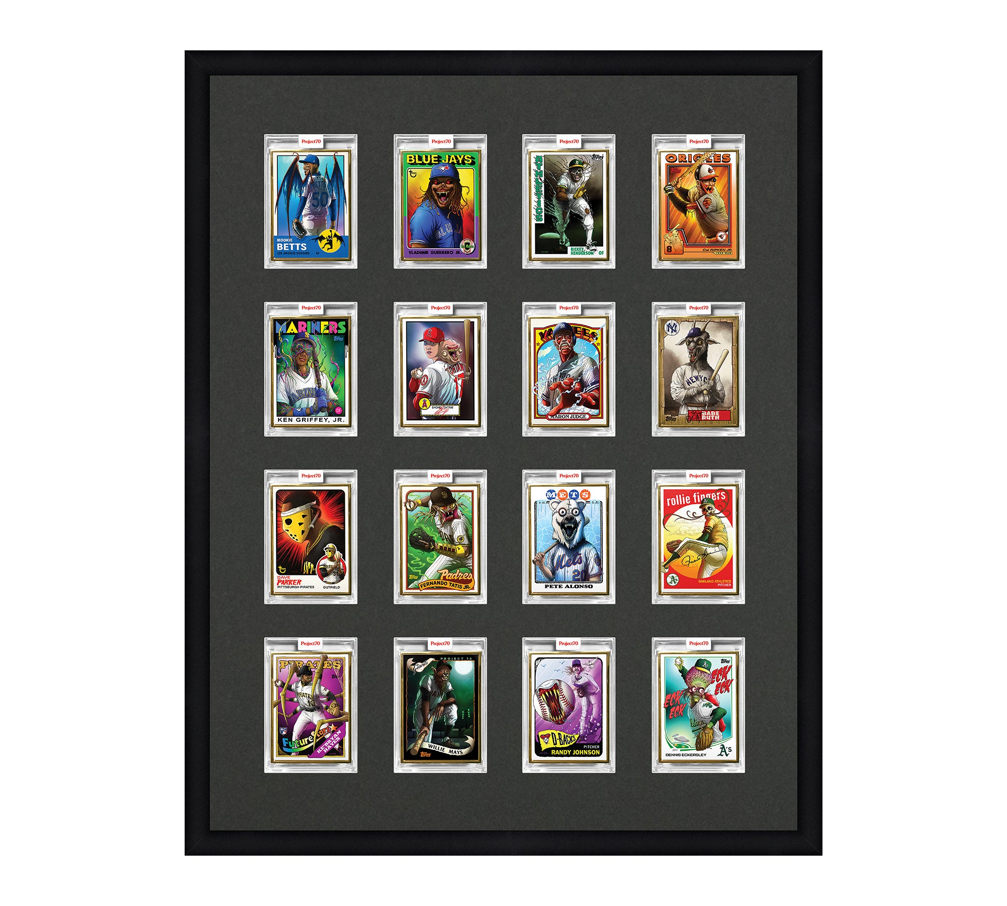 Framed Card Display - 16 Openings for Project 100, Project 70, or Proj ...