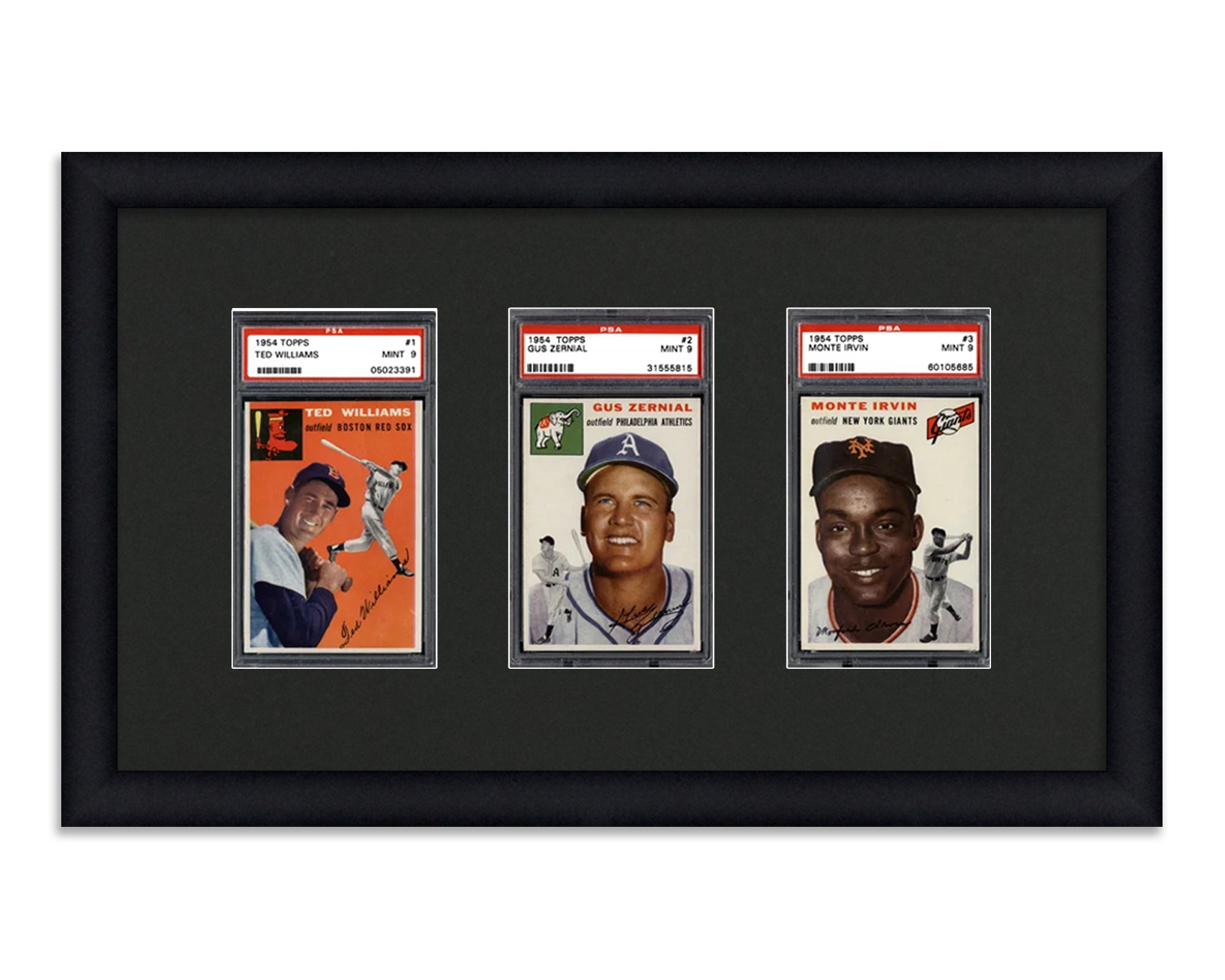 PSA / CGC / CSG Graded Card Displays – Card Frame Shop