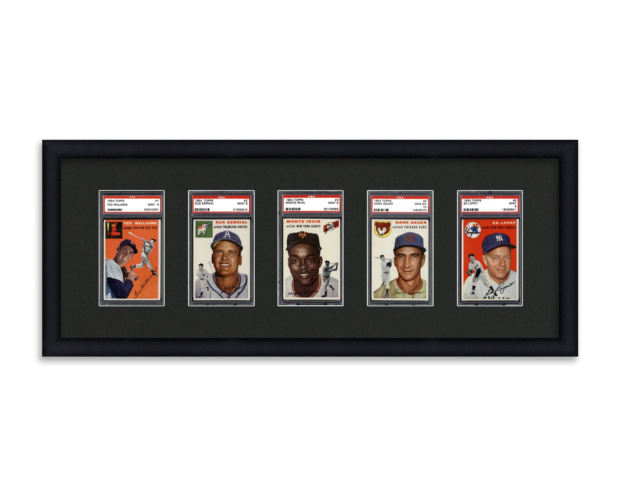 PSA / CGC / CSG Graded Card Displays – Card Frame Shop