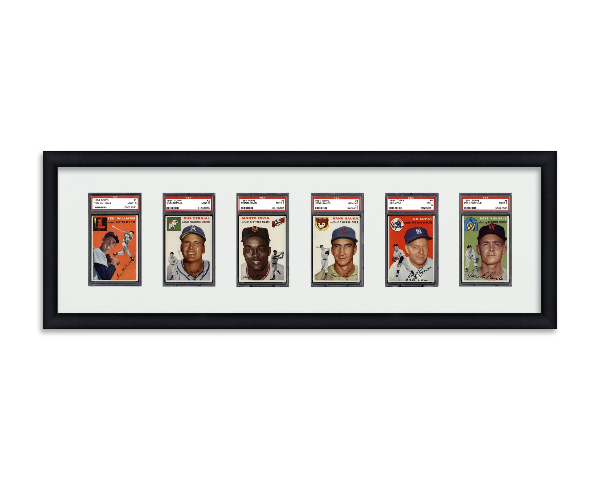 Card Frame Display - 6 Openings for PSA Graded Slabs – Card Frame Shop